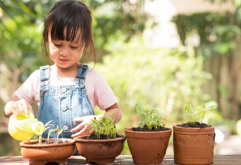 My Garden Essay In English for Class 1-3: 10 Lines, Short & Long Paragraph